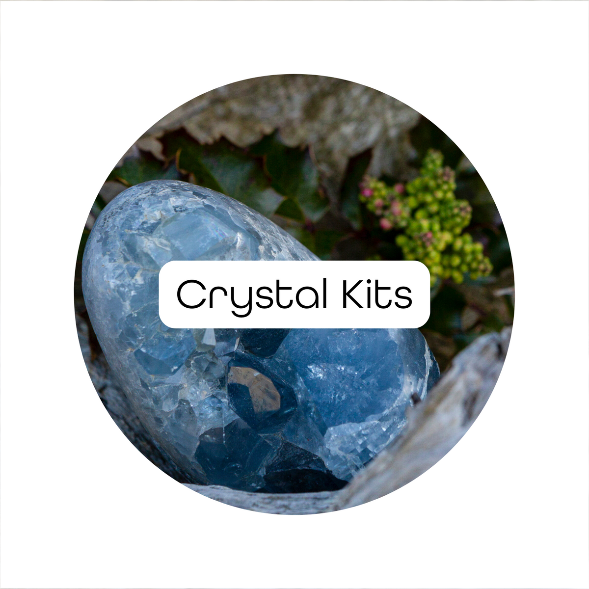 Crystal Kits – Hidden Gem